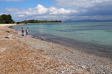 Alcanada Beach, Alcudia | SeeMallorca.com