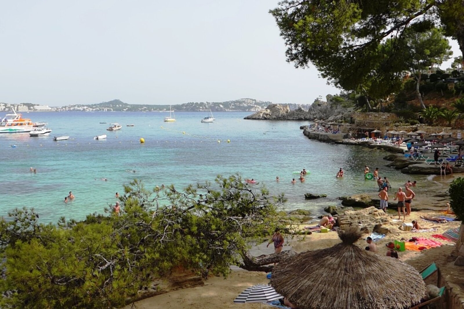 Cala Fornells Beach