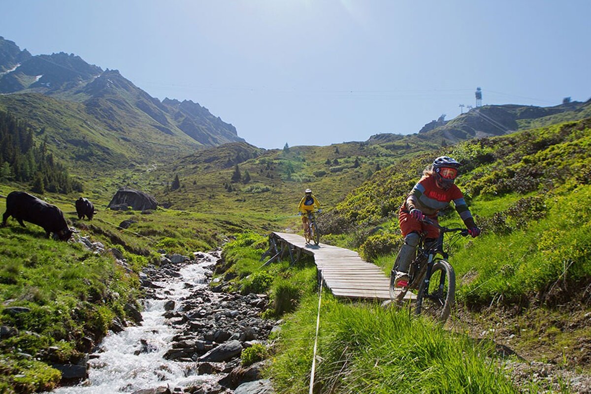 Downhill Mtb Trails