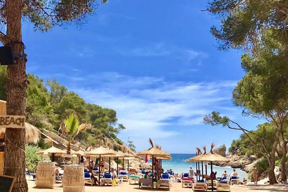 Cala Falco Beach, Magaluf | SeeMallorca.com